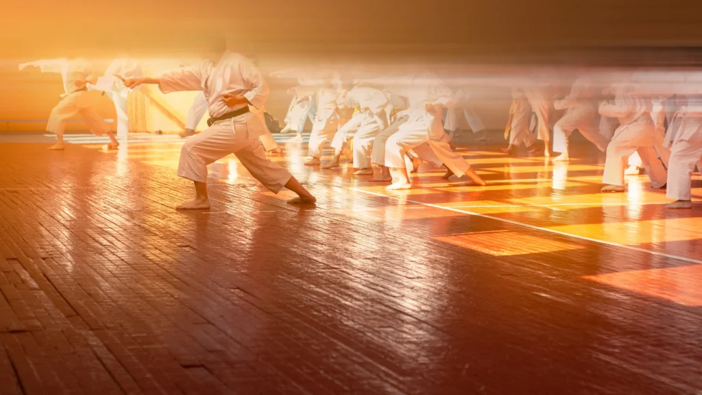 Log In - Karate Explained